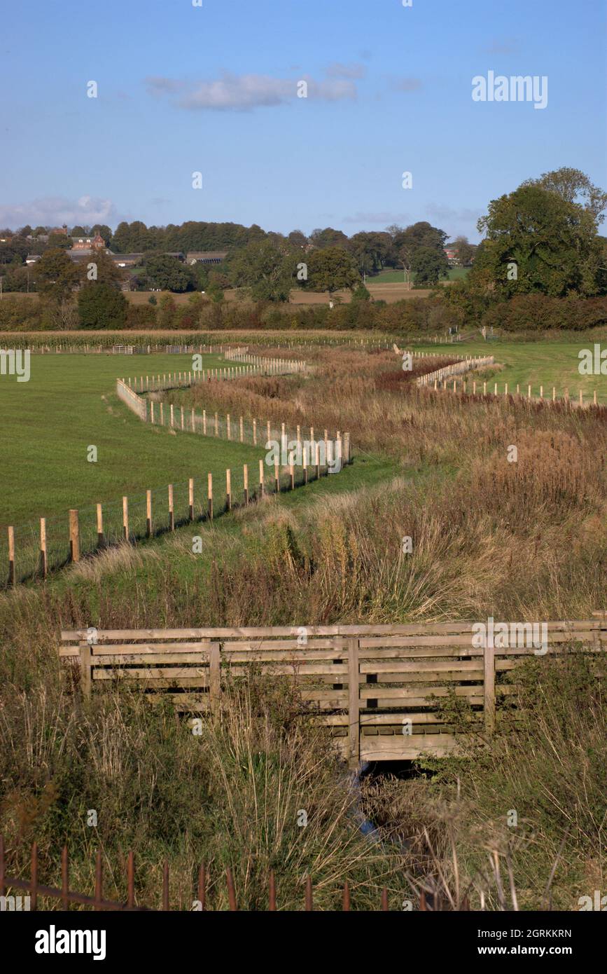 Wildlife conservation scotland hi-res stock photography and images - Alamy