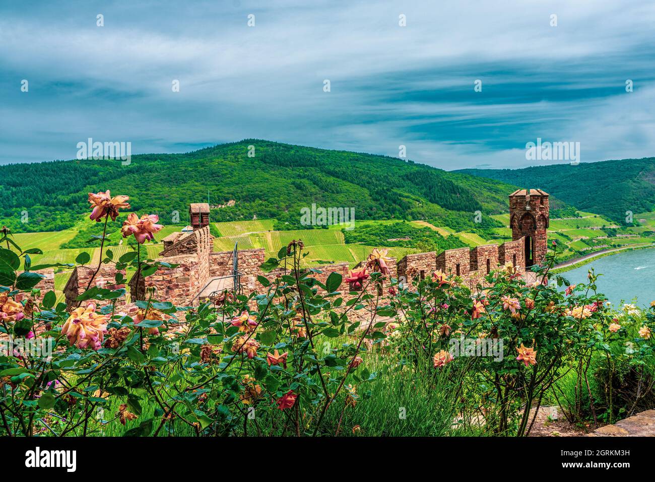 Castle ruins in the Rhine Valley in Germany Stock Photo - Alamy