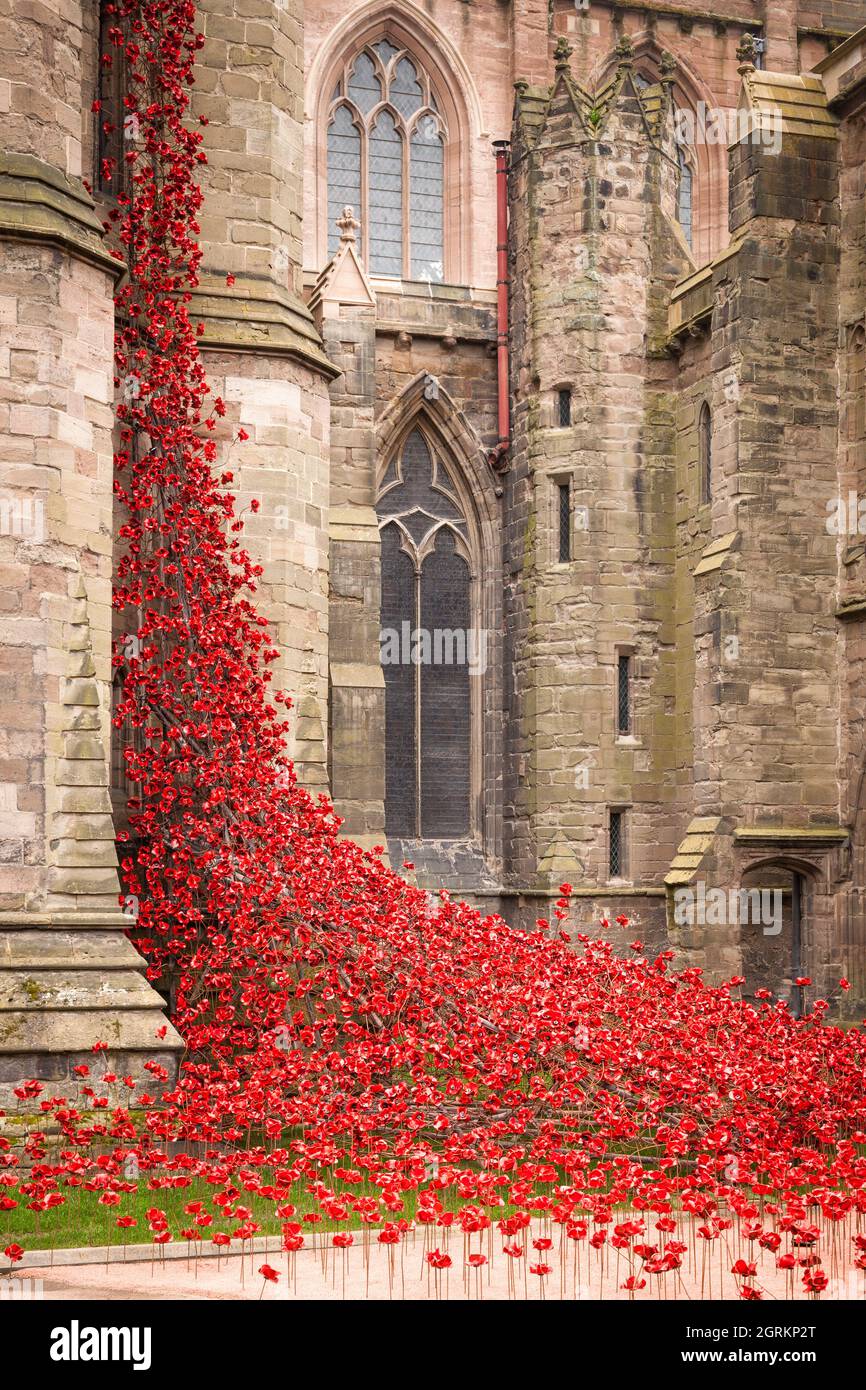 Weeping Window display of ceramic poppies at Hereford cathedral England ...