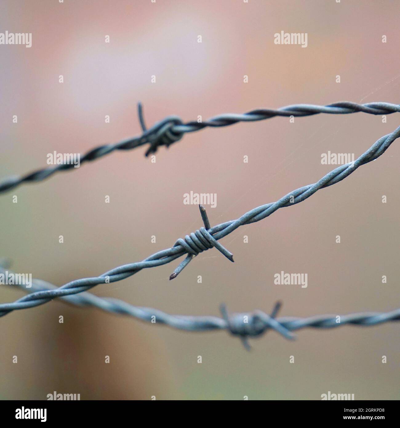 Broken barrier hi-res stock photography and images - Alamy