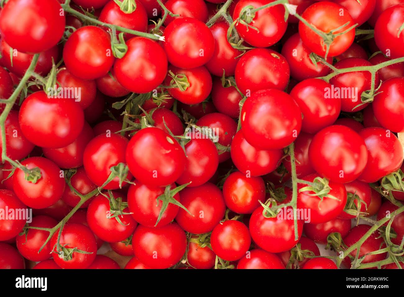 Fruit tomatoes hi-res stock photography and images - Alamy