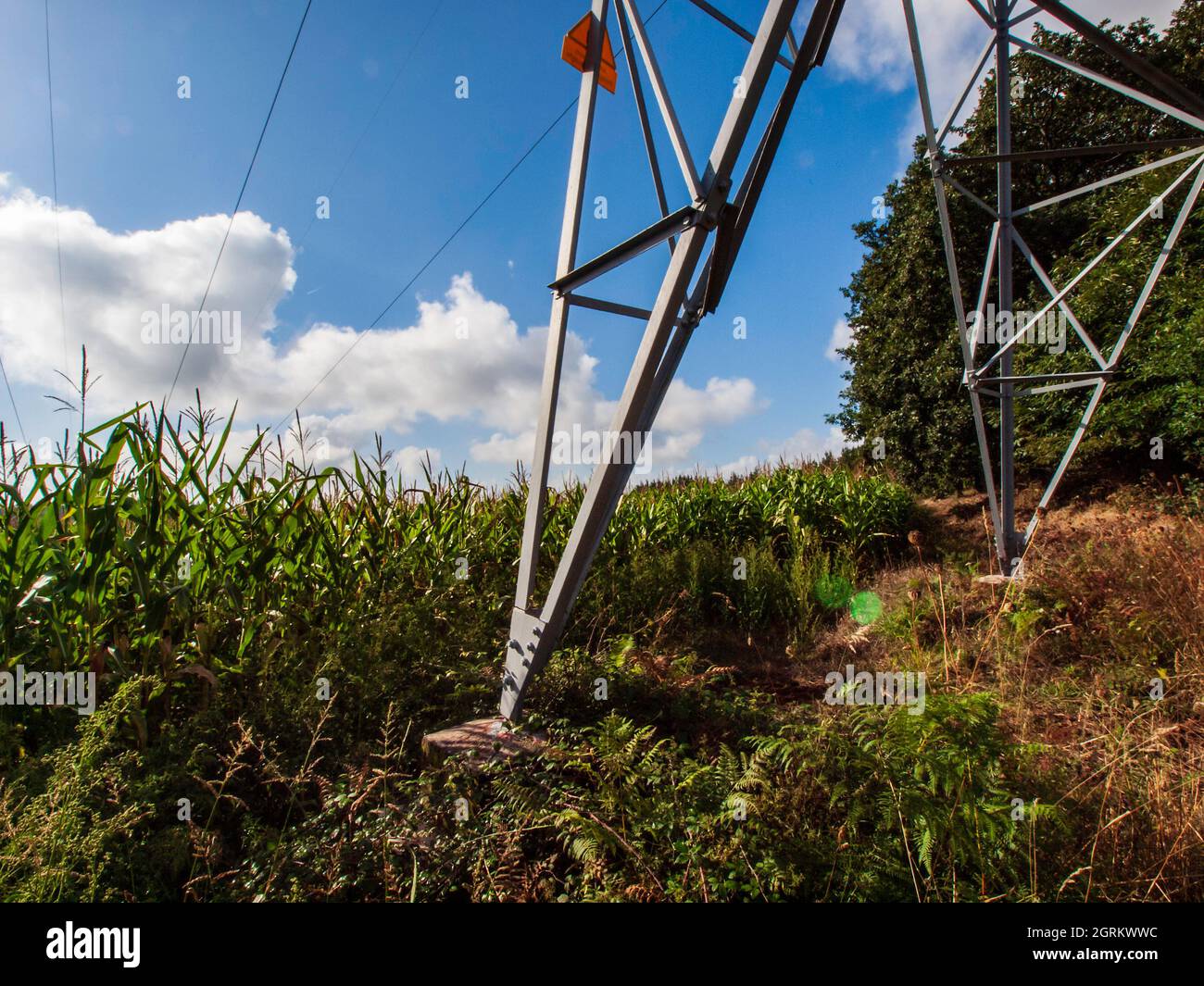 High voltage power poles in Galician countryside Stock Photo - Alamy