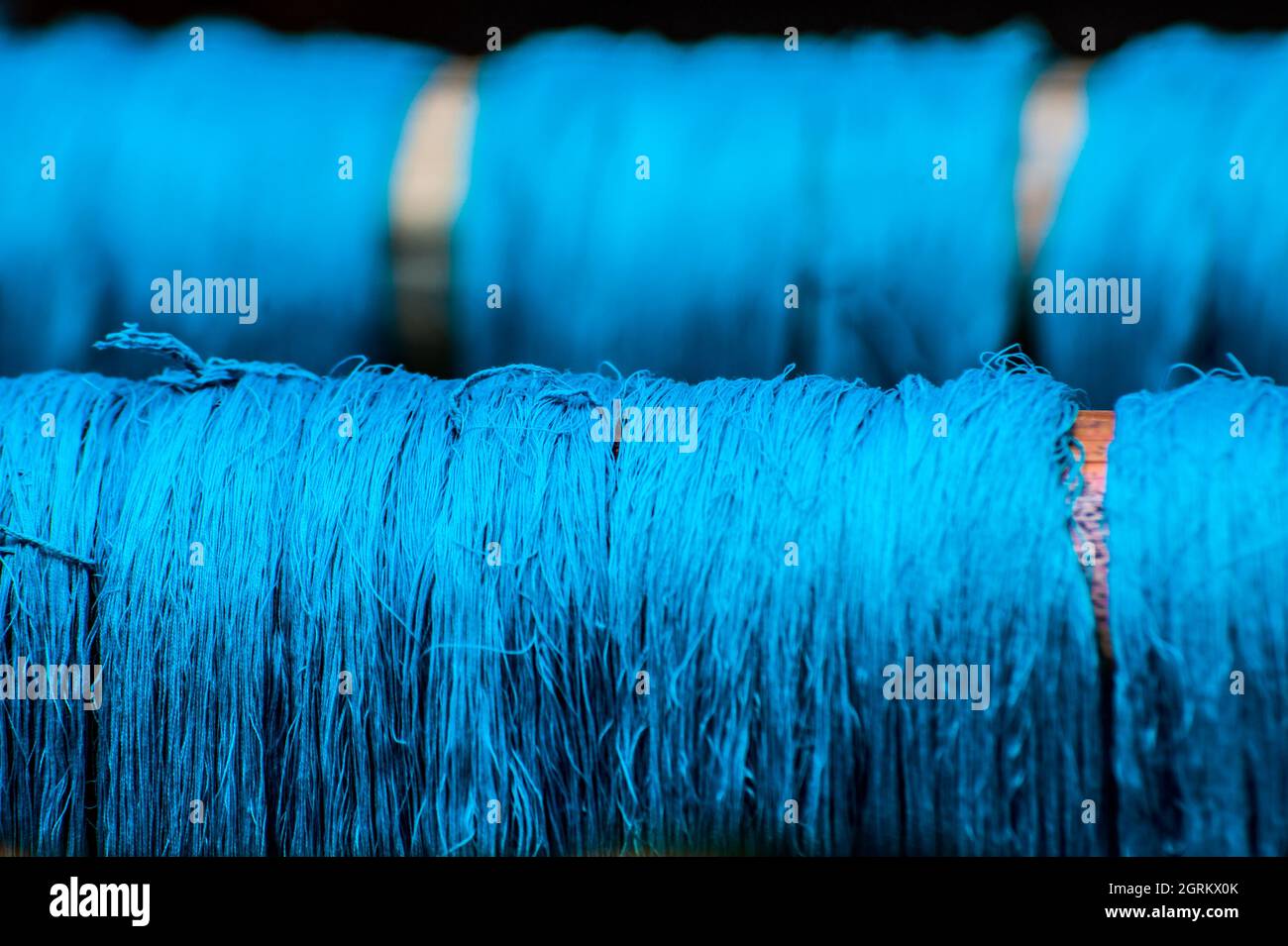 Pinworm High Resolution Stock Photography and Images - Alamy