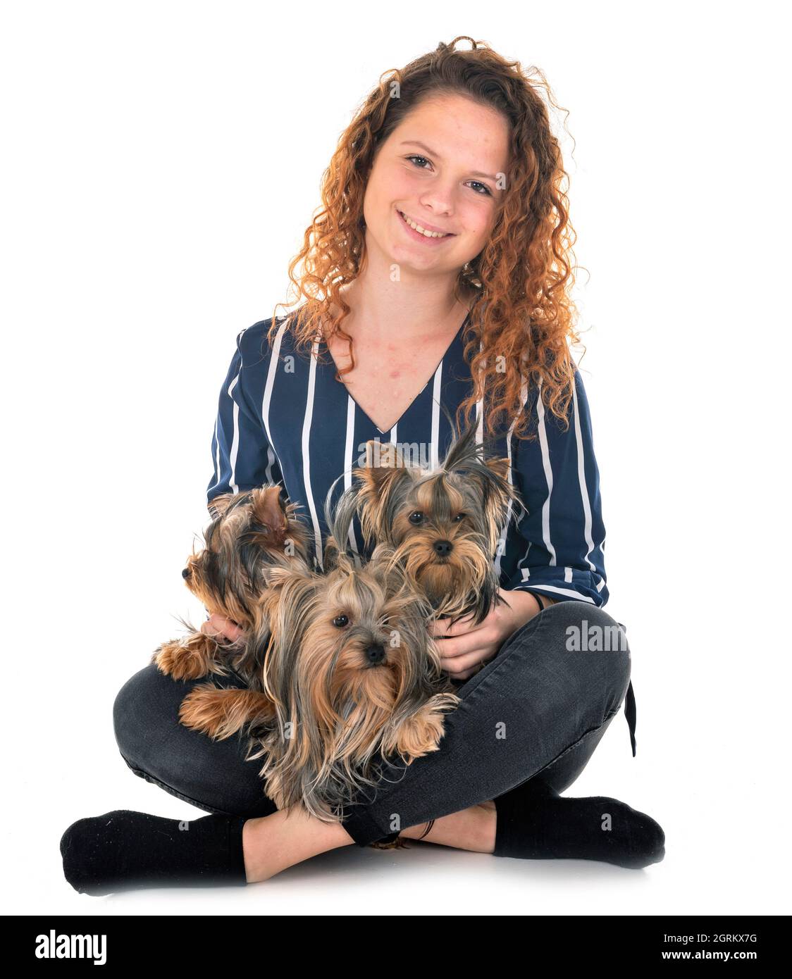 Can Yorkies Have Wavy Hair