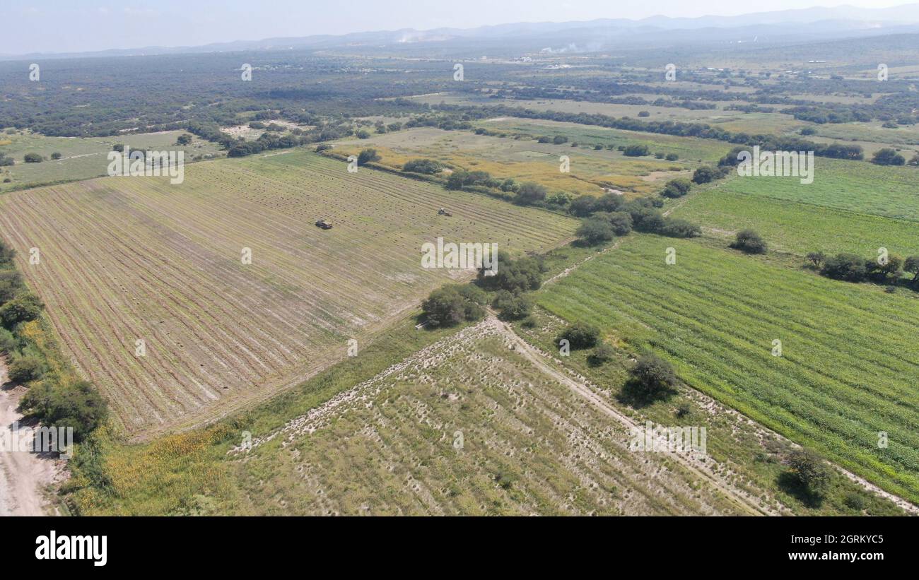 Mexico´s countryside farming during drought Stock Photo - Alamy