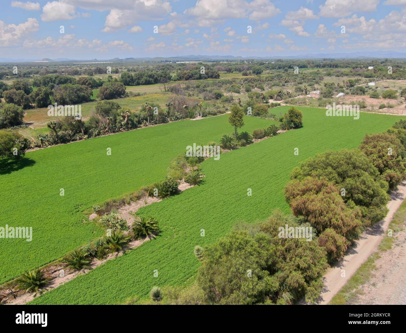 Estados de mexico unidos hi-res stock photography and images - Alamy