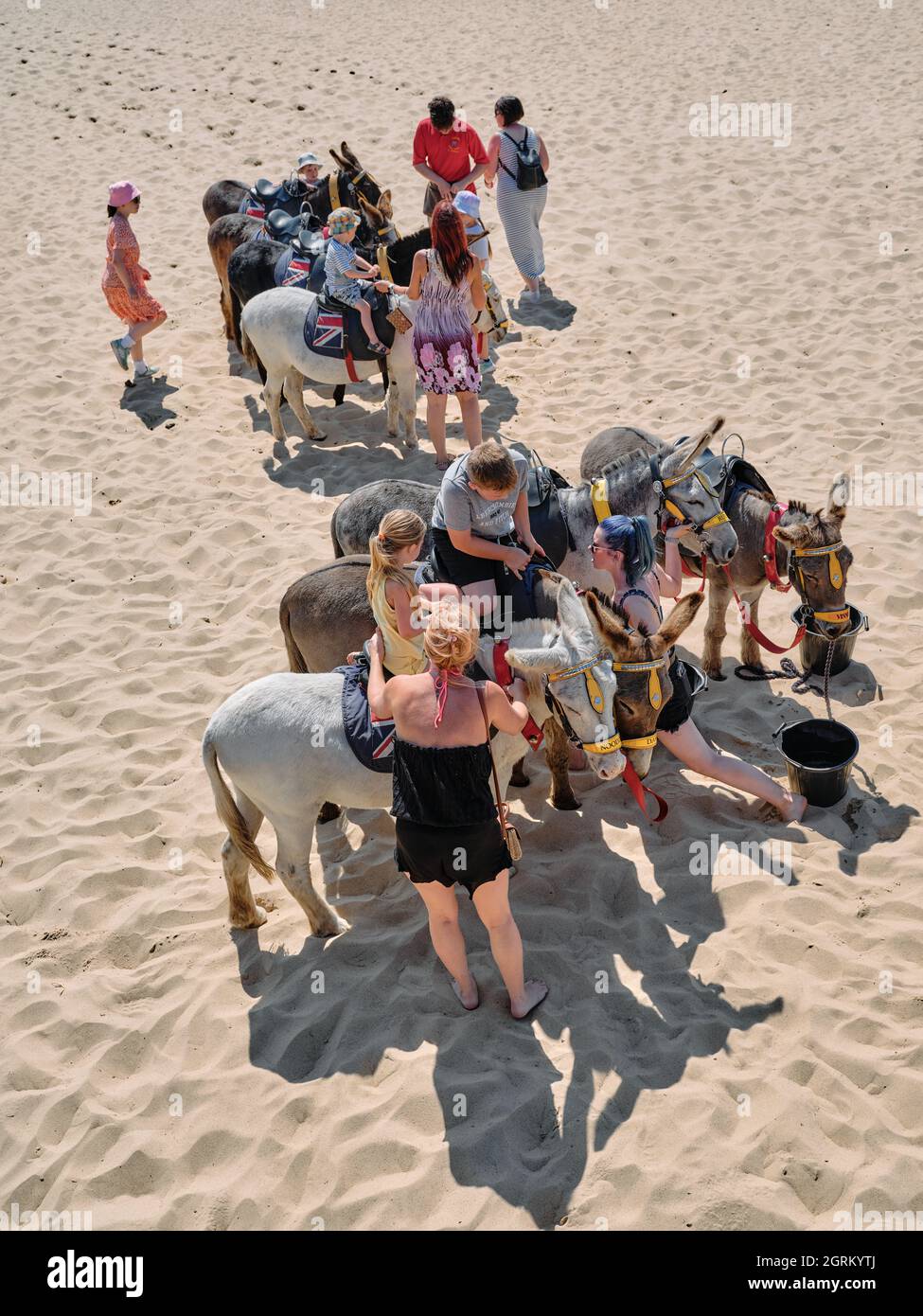 A beach Donkey ride in Great Yarmouth seaside resort town on the ...