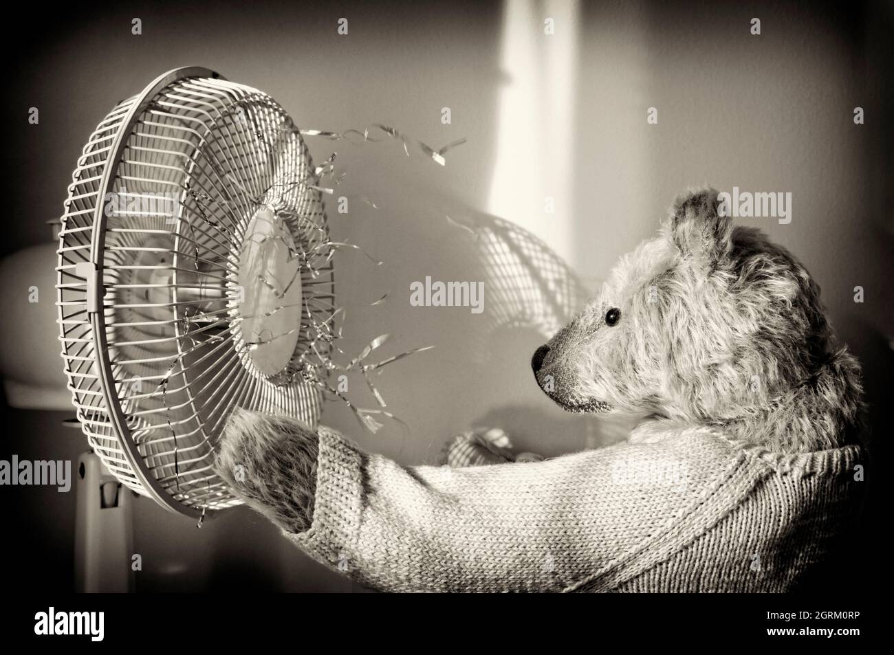 Old fashioned teddy bear hi-res stock photography and images - Alamy