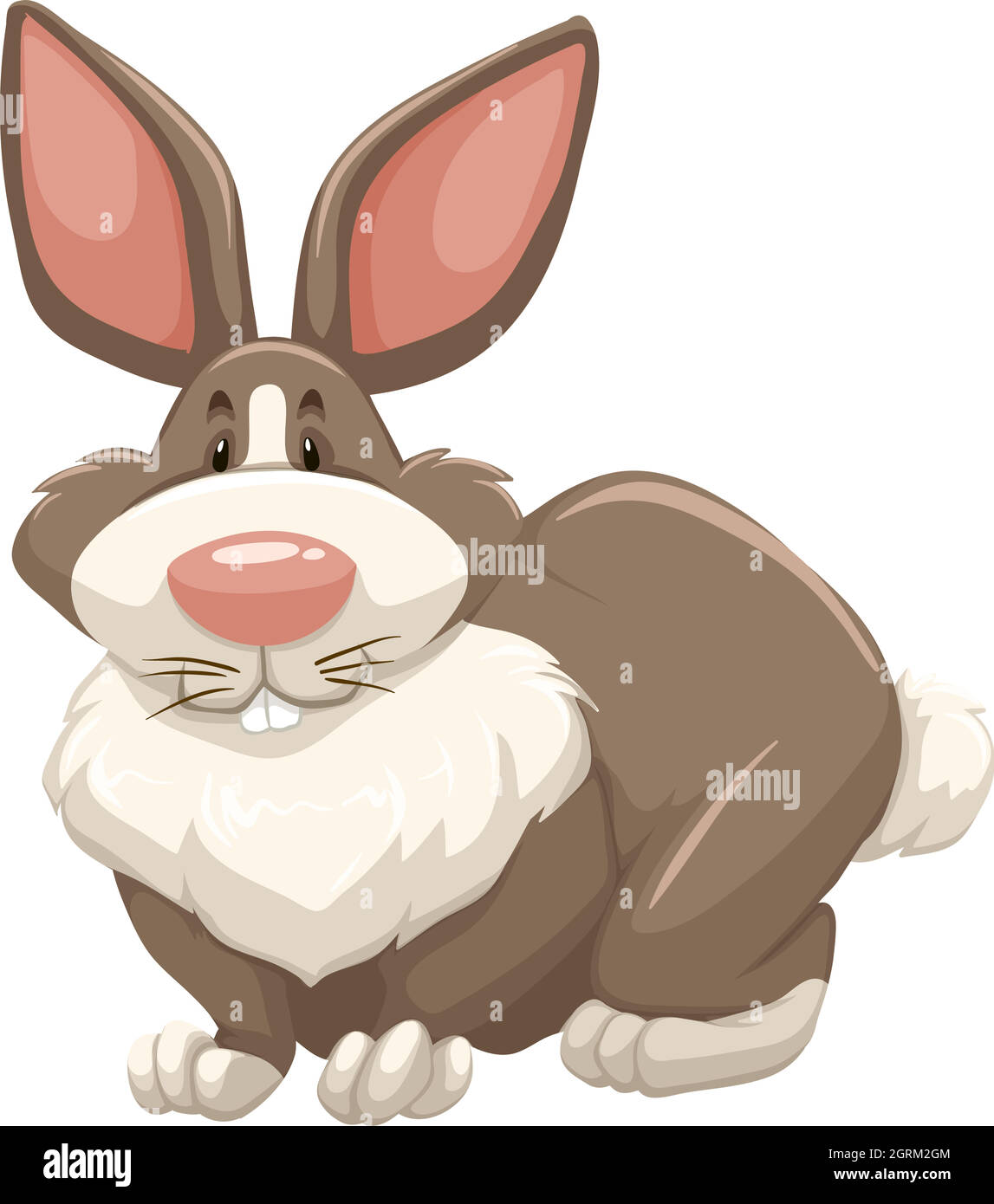 Rabbit school hi-res stock photography and images - Alamy