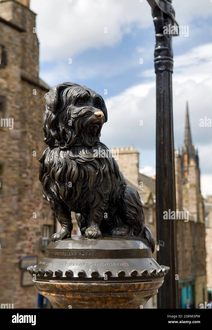 Greyfriars Bobby, statue of the infamous loyal skye terrier, Edinburgh ...