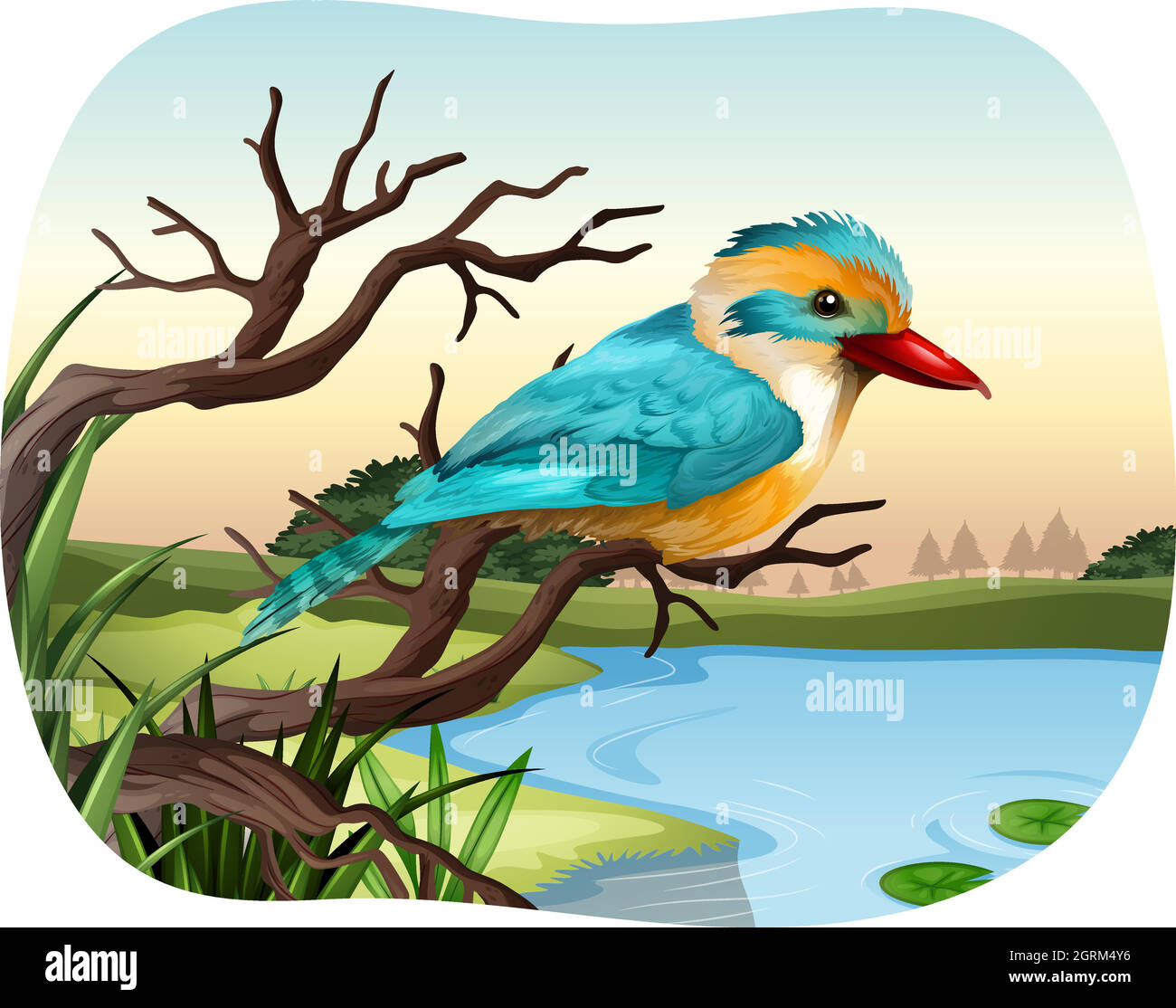 Blue park animal bird Stock Vector Images - Alamy