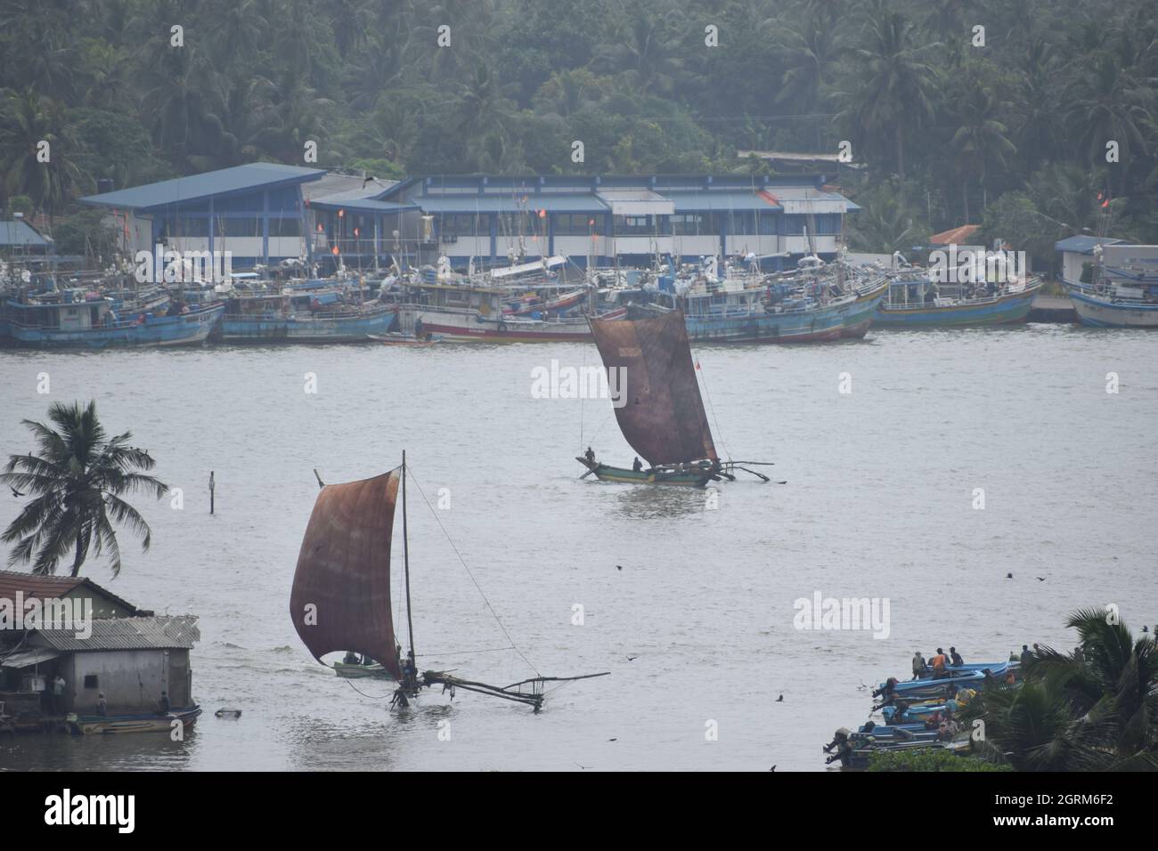 Traditional fishing boats on the harbor Stock Photo - Alamy