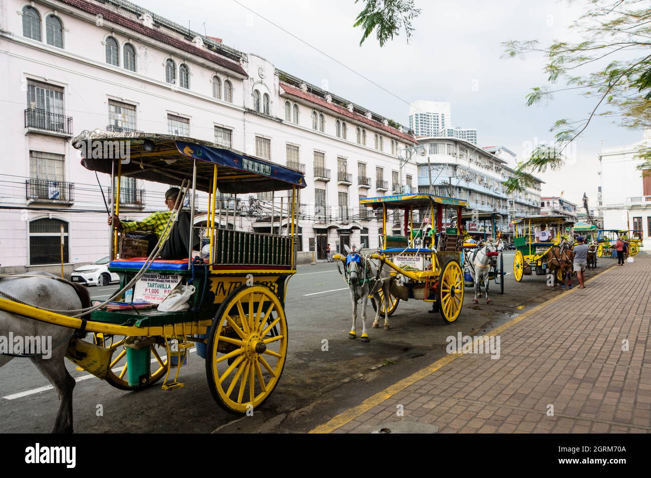 Horse drawn carriage transportation hi-res stock photography and images ...
