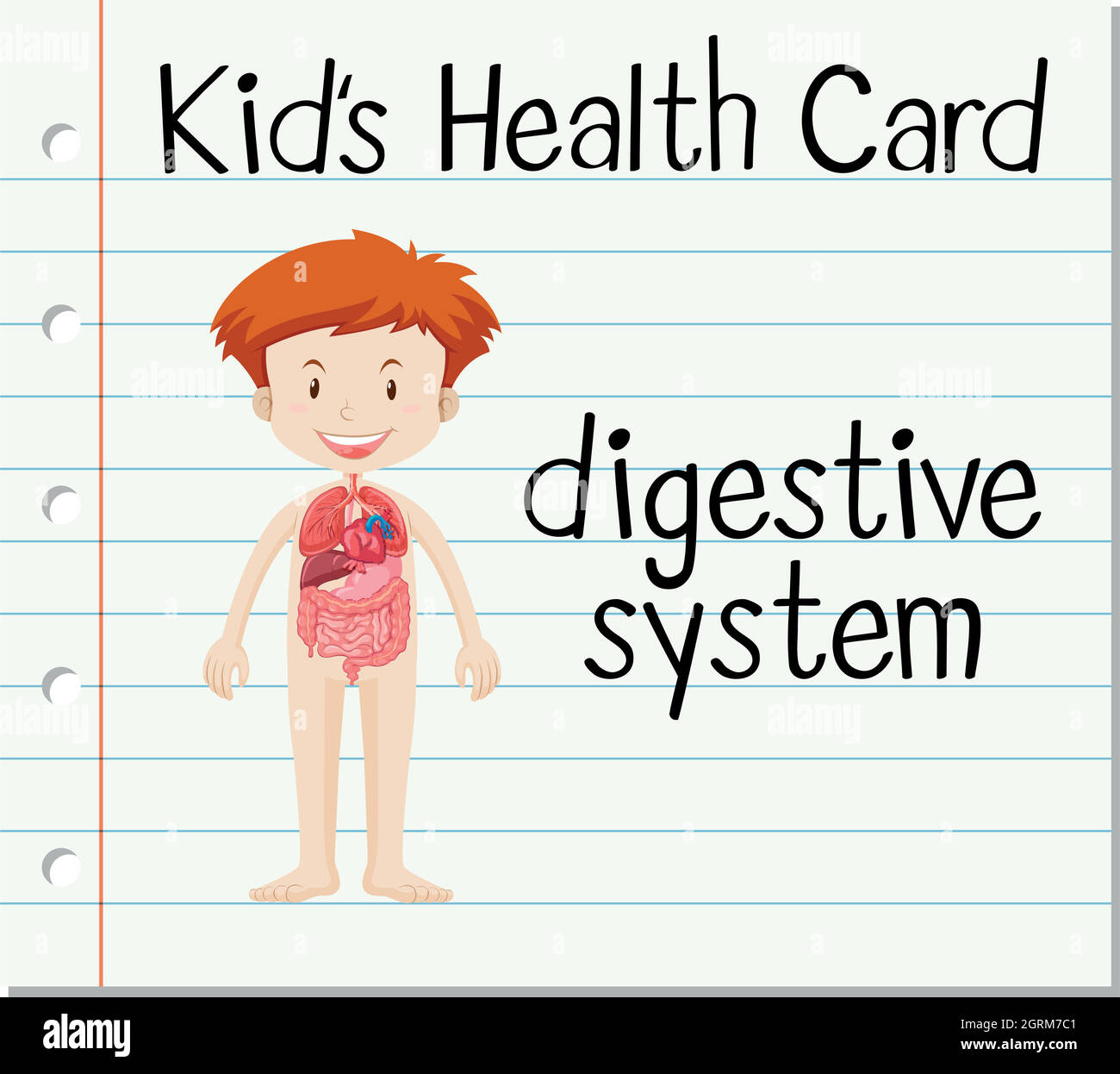 Health card with digestive system Stock Vector Image & Art - Alamy