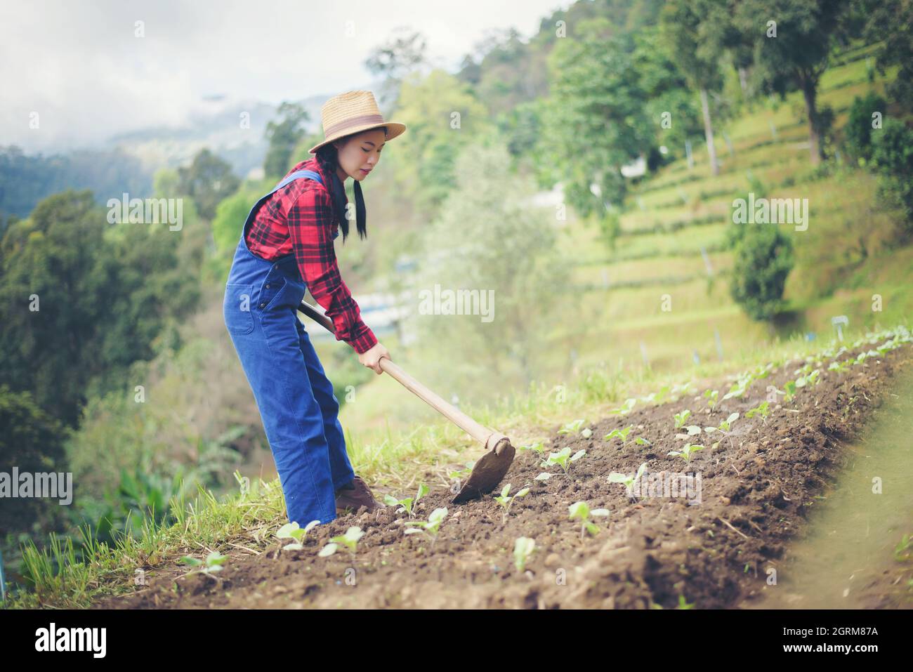 Side View Of Farmer Working On Farm Stock Photo - Alamy