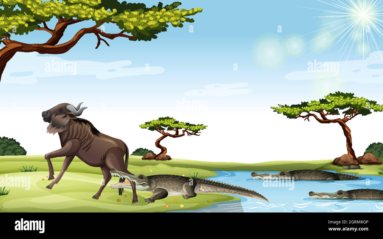 Wildebeest eatedn by crocodile in Savanna background Stock Vector Image ...