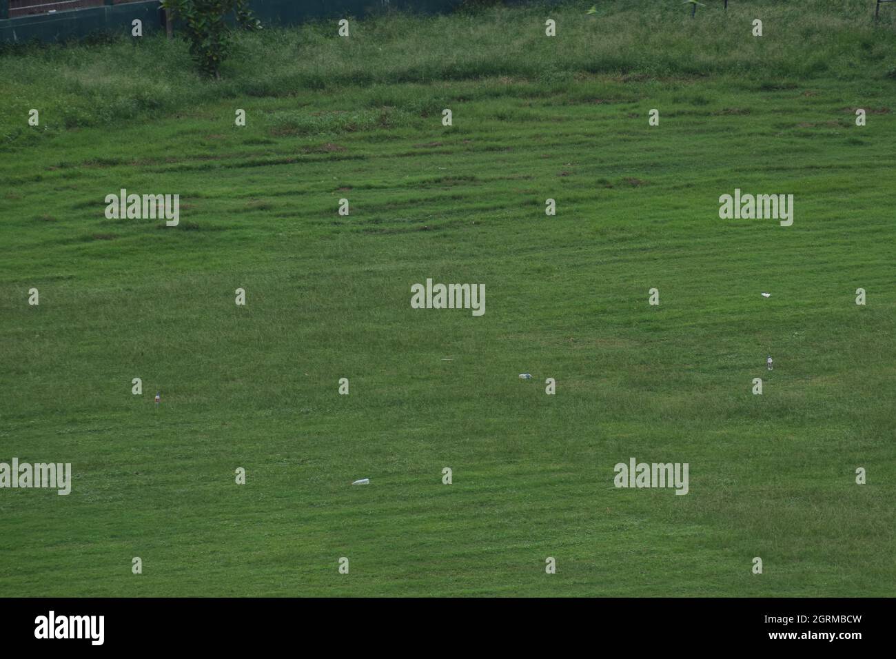 Lawn turf base hi-res stock photography and images - Alamy