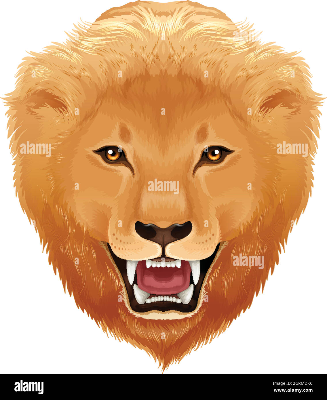 Lions tooth Stock Vector Images - Alamy