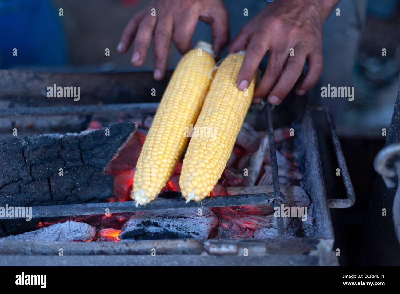 Corn, maize, fried corn, roasted corn Stock Photo - Alamy