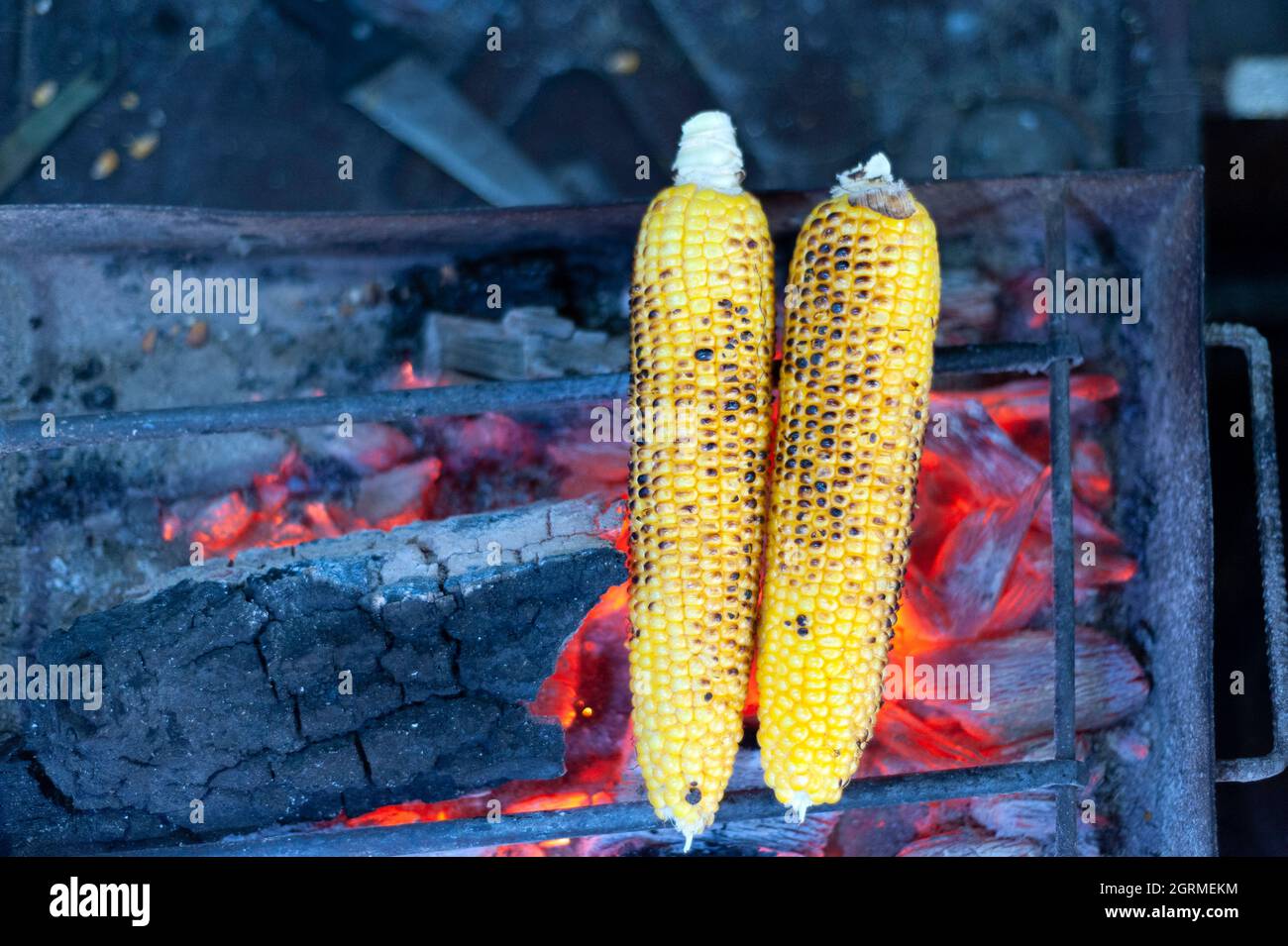 Corn, maize, fried corn, roasted corn Stock Photo - Alamy