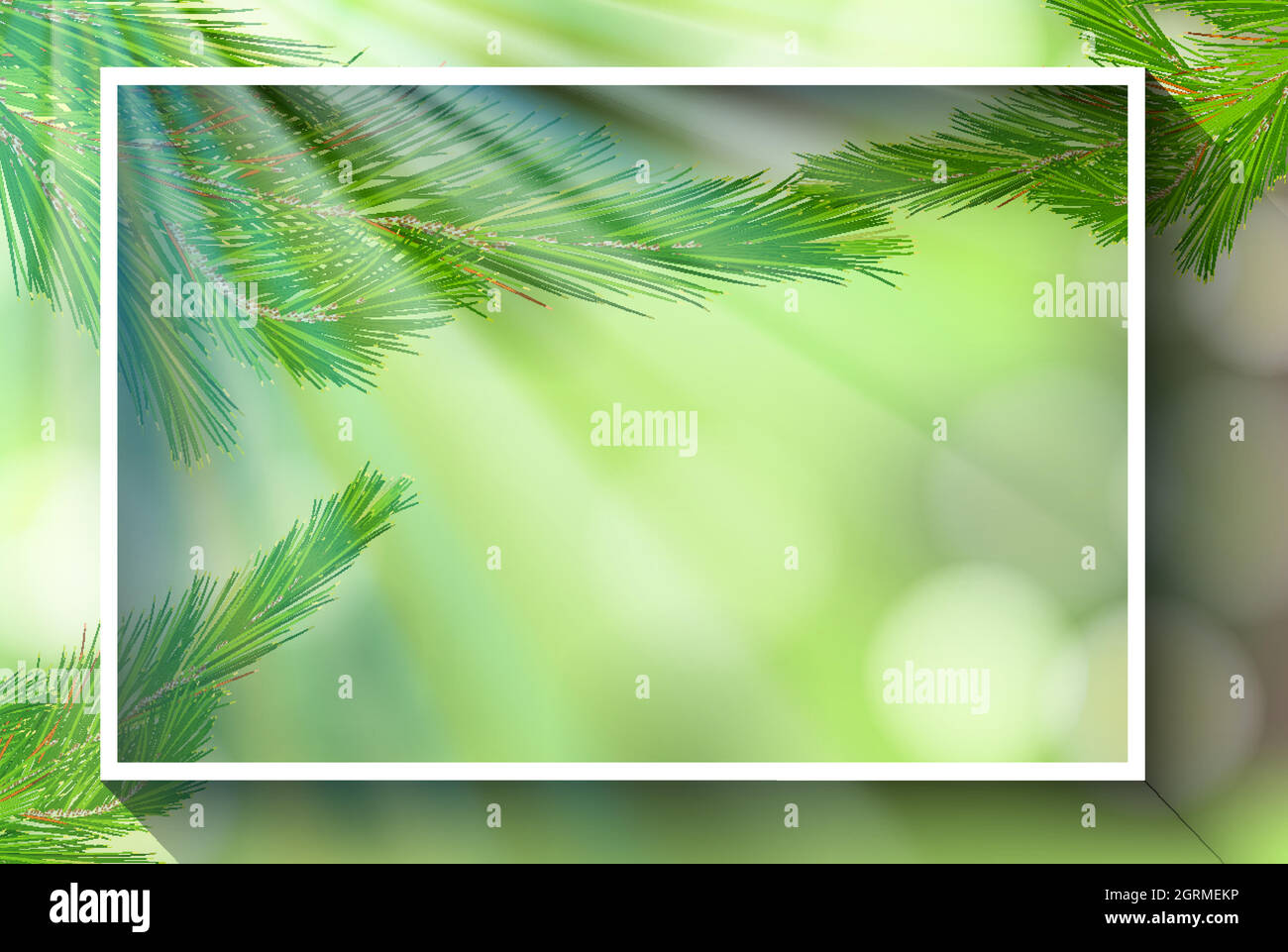 Border template with pine leaves Stock Vector Image & Art - Alamy