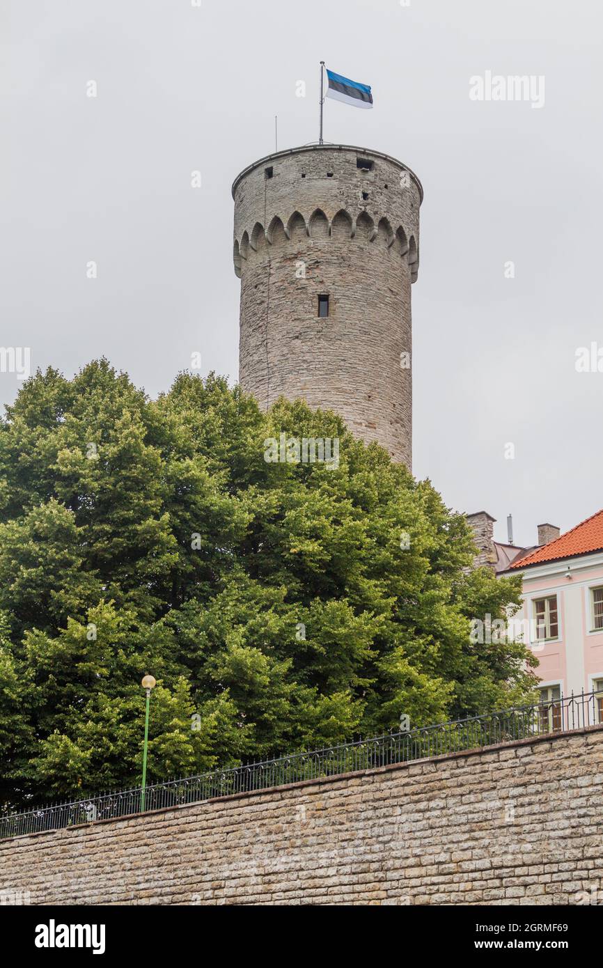 Toompea castle fortress wall hi-res stock photography and images - Alamy