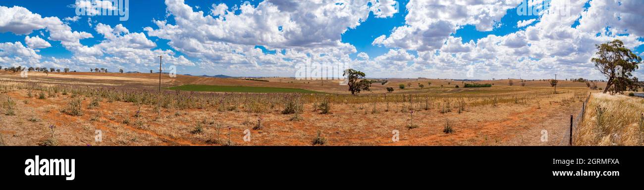 Australia drought paddock hi-res stock photography and images - Alamy