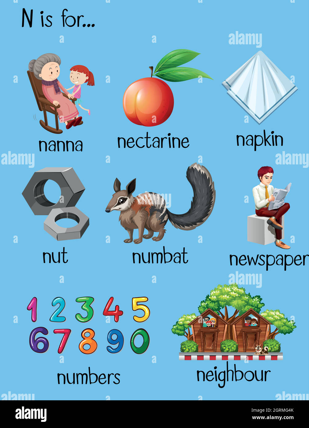 Different words for letter N Stock Vector Image & Art - Alamy