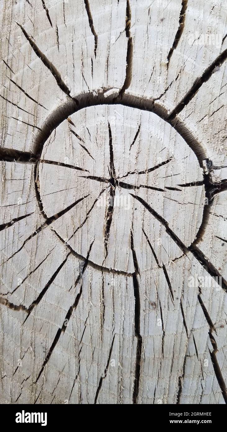 The stump cross hi-res stock photography and images - Alamy