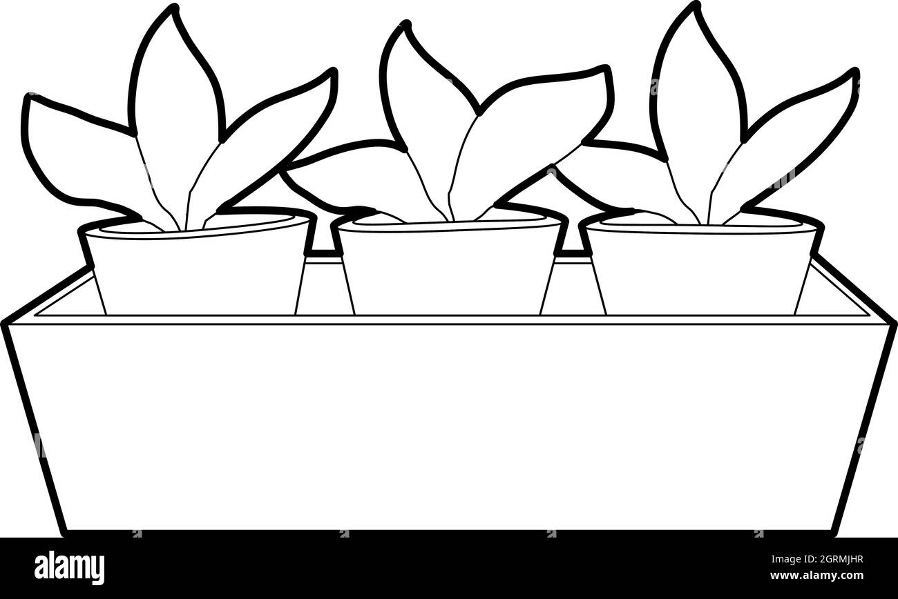 Young shoot plant in Black and White Stock Photos & Images - Alamy