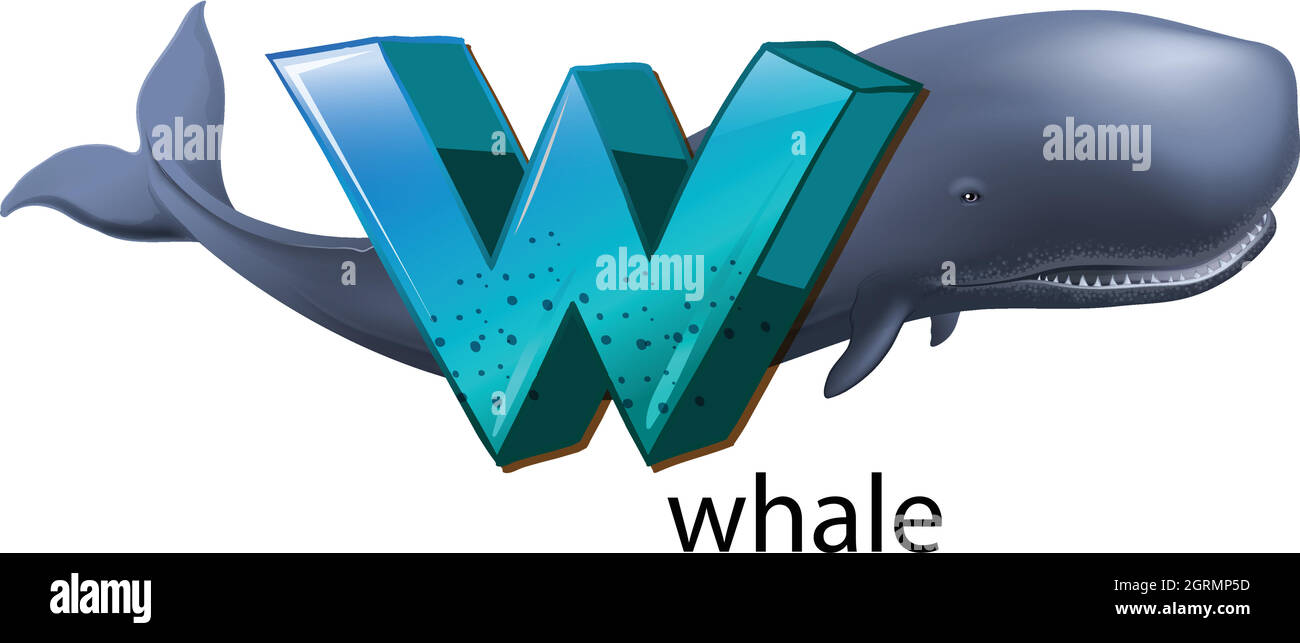 A letter W for whale Stock Vector Image & Art - Alamy