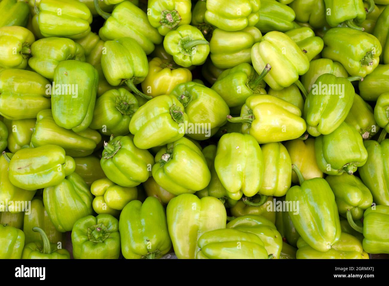 Preparing green pepper hi-res stock photography and images - Alamy