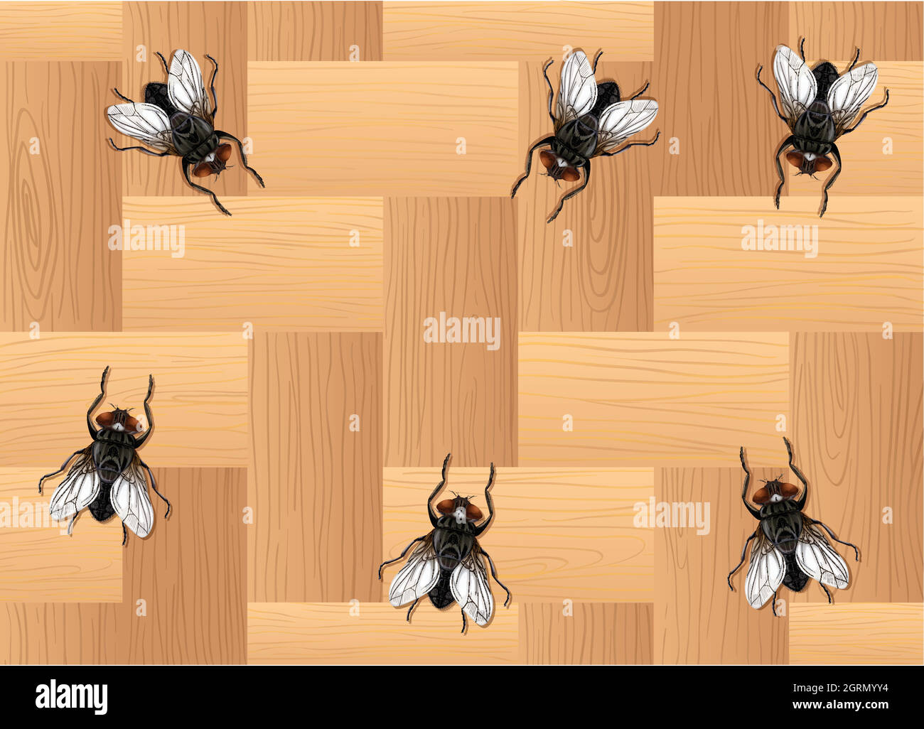 Many flies on the wooden floor Stock Vector Image & Art - Alamy