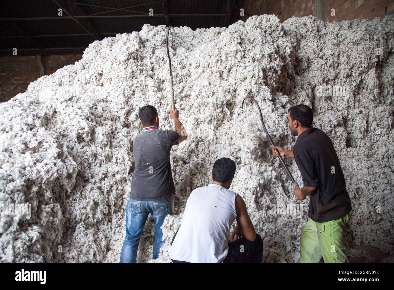 Cotton ginning mill hi-res stock photography and images - Alamy