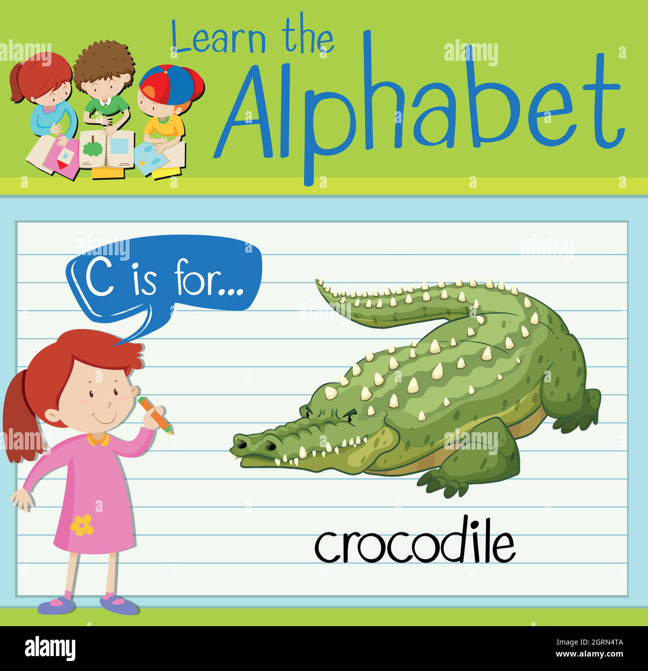 Flashcard letter C is for crocodile Stock Vector Image & Art - Alamy