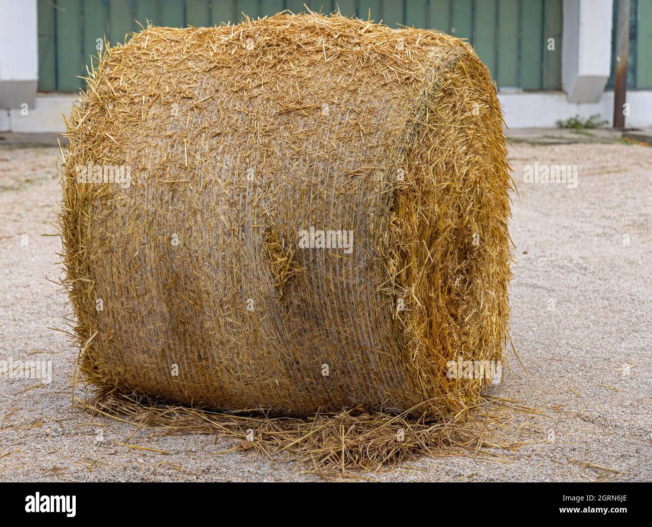 One Big Hay Bale Straw Silage at Farm Stock Photo - Alamy