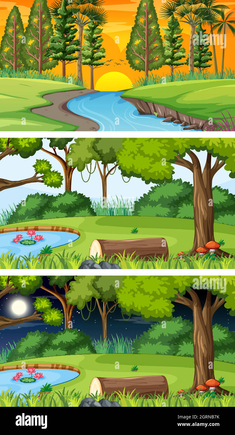 Different types of forest horizontal scenes Stock Vector Image & Art ...