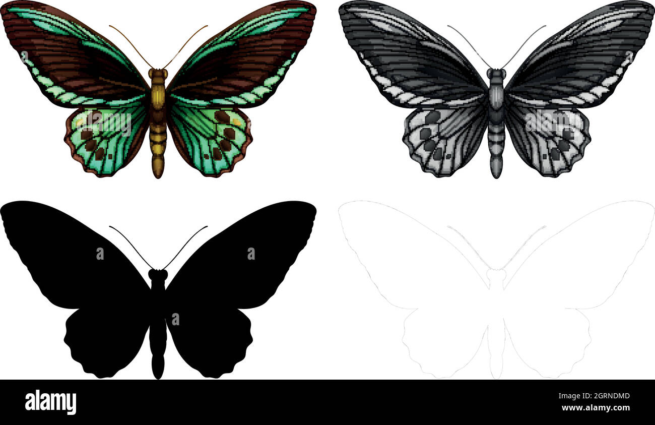 Set of butterfly character Stock Vector Image & Art - Alamy