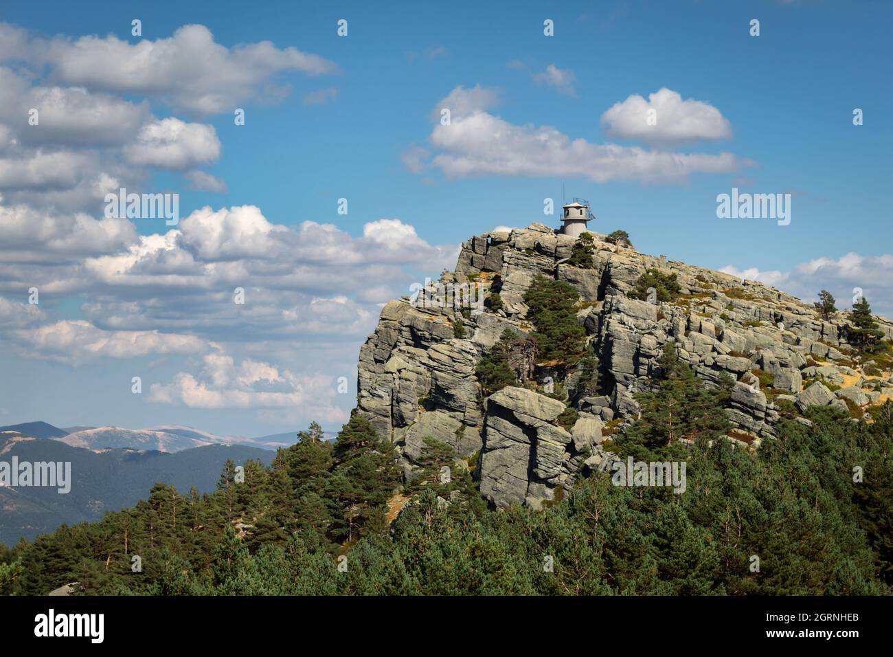 Forest watchtower in a natural park Stock Photo - Alamy