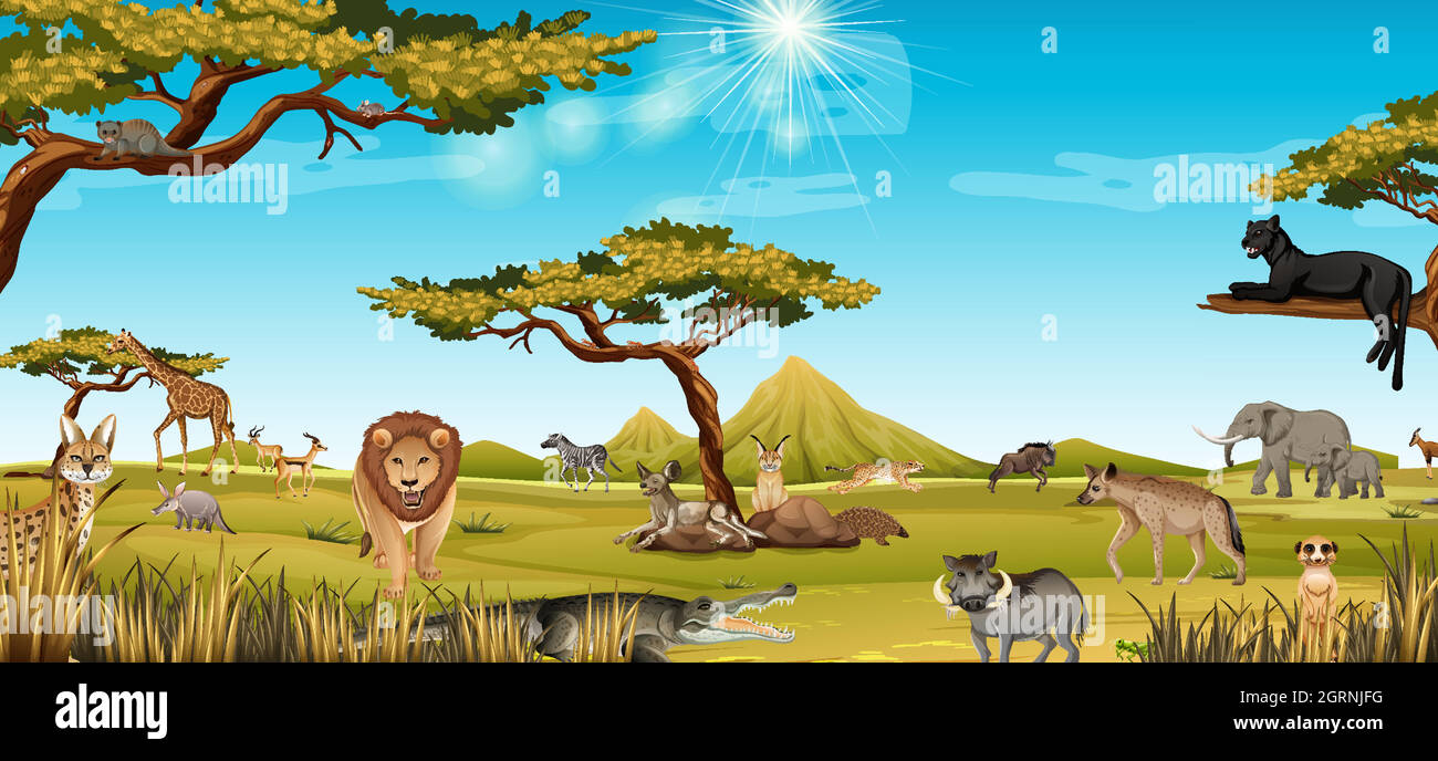 African animal in the forest landscape scene Stock Vector Image & Art ...