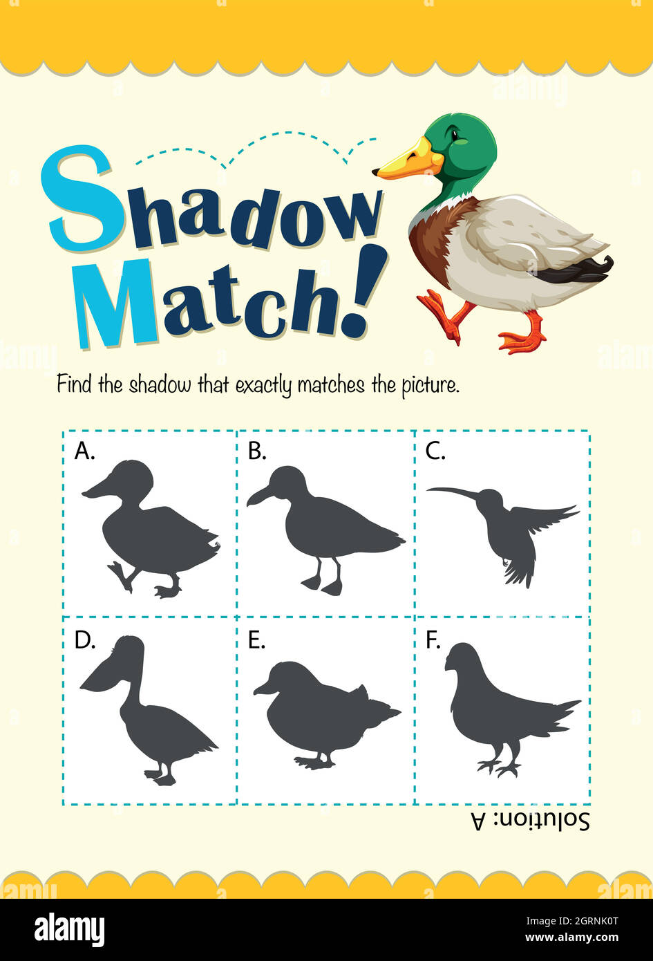 Game template for shadow matching duck Stock Vector Image & Art - Alamy