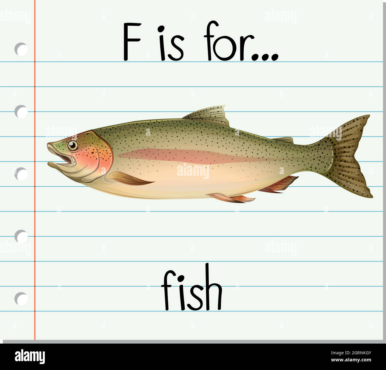 Flashcard letter F is for fish Stock Vector Image & Art - Alamy