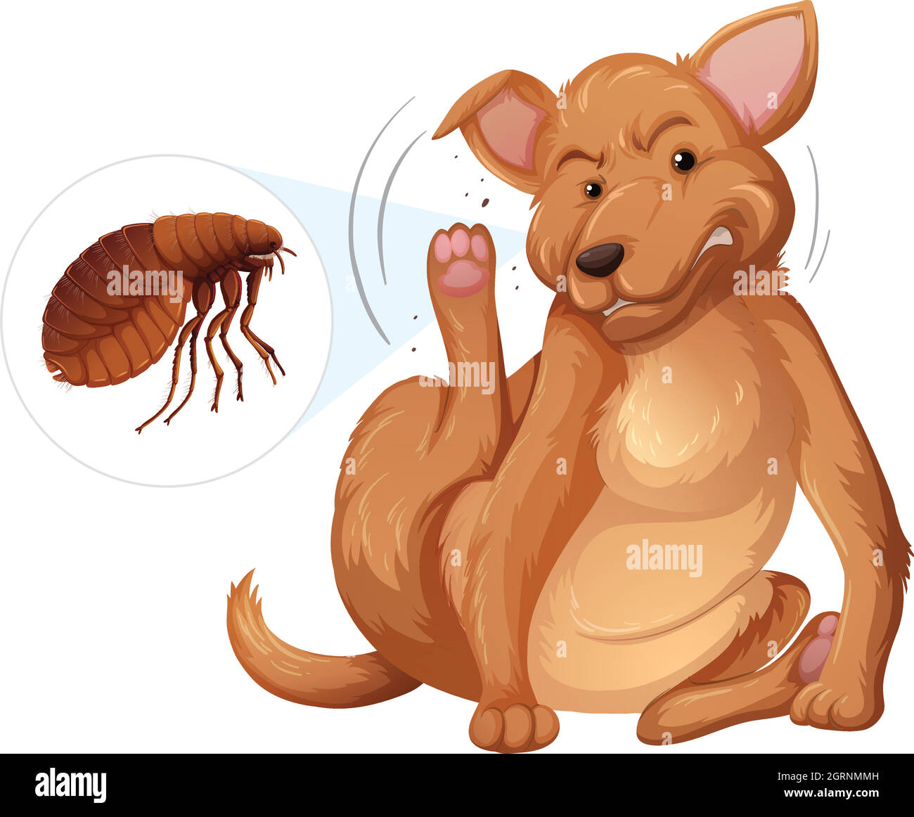 Itching Stock Vector Images - Alamy