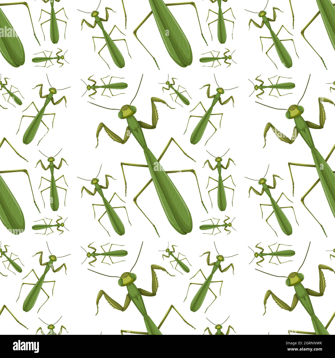 Mantis on seamless background hi-res stock photography and images - Alamy