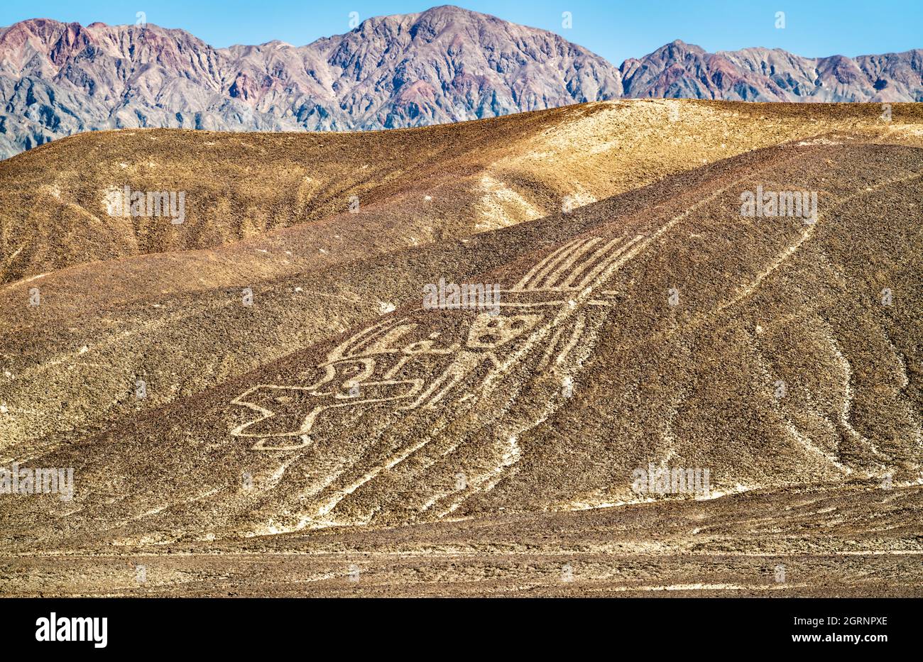Aerial View of Palpa Geoglyphs in Peru Stock Photo - Alamy