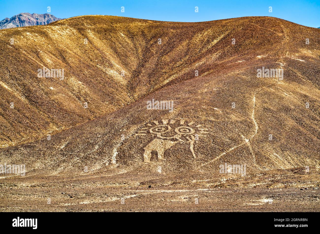 Aerial View of Palpa Geoglyphs in Peru Stock Photo - Alamy
