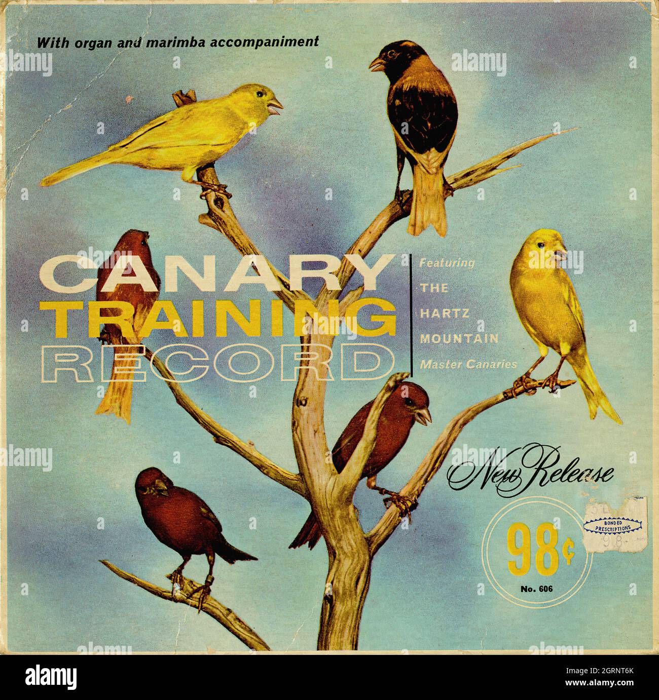 Canary Training Record (45) - Vintage Vinyl Album Stock Photo - Alamy