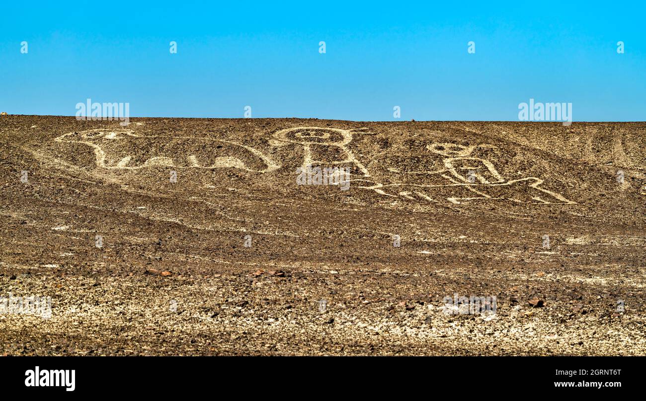 Aerial View of Palpa Geoglyphs in Peru Stock Photo - Alamy