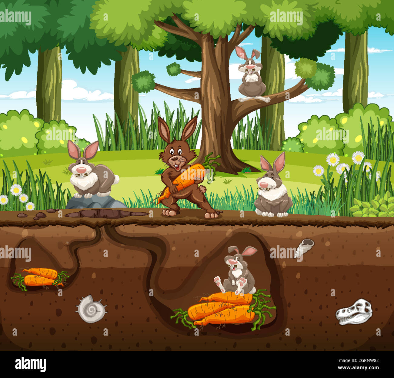 Underground animal burrow with rabbit family Stock Vector Image & Art - Alamy