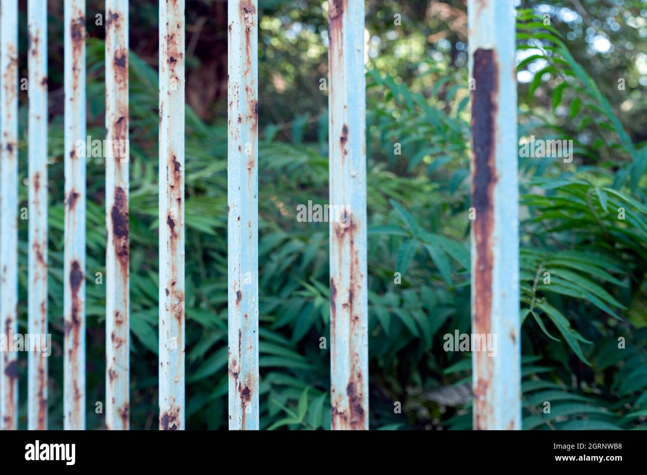 Old rusty iron bars Stock Photo - Alamy